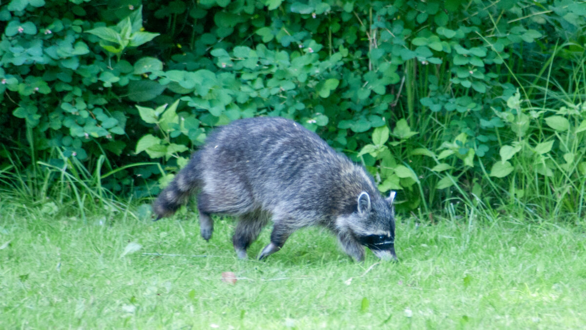 Photo Gallery – Summer Camp 2023 – The Left Berlin